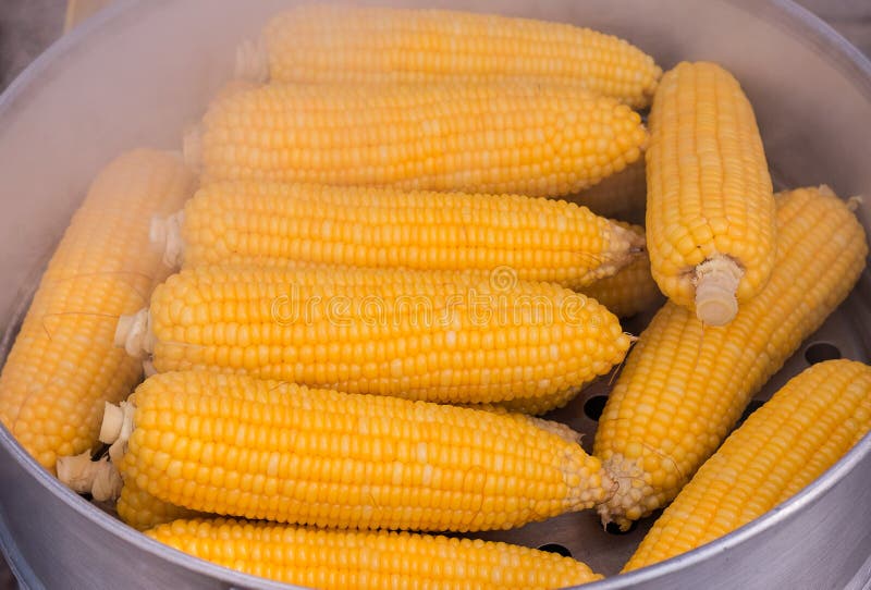 Steamed Fresh Corn, Corn Boiling. Stock Photo - Image of cooking ...
