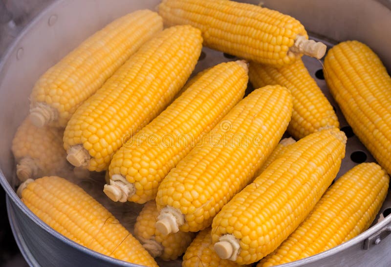 Steamed Fresh Corn, Corn Boiling. Stock Image - Image of nutritious ...