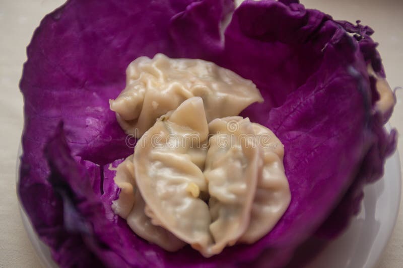 Steamed Japanese Gyoza stock image. Image of trio, shrimp - 270332383