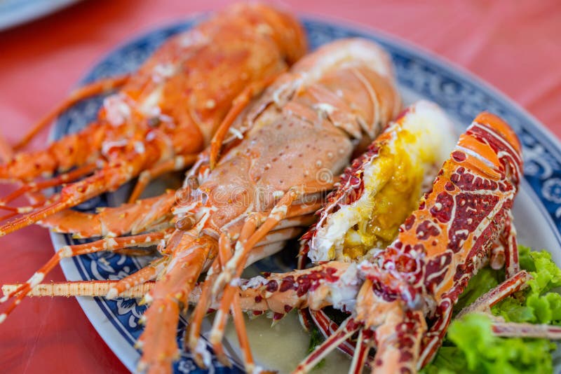 Steamed lobster stock image. Image of platter, meat - 260064759