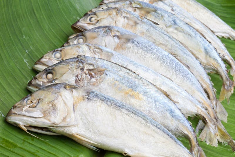 Steamed Mackerel stock photo. Image of nature, asian - 22725356