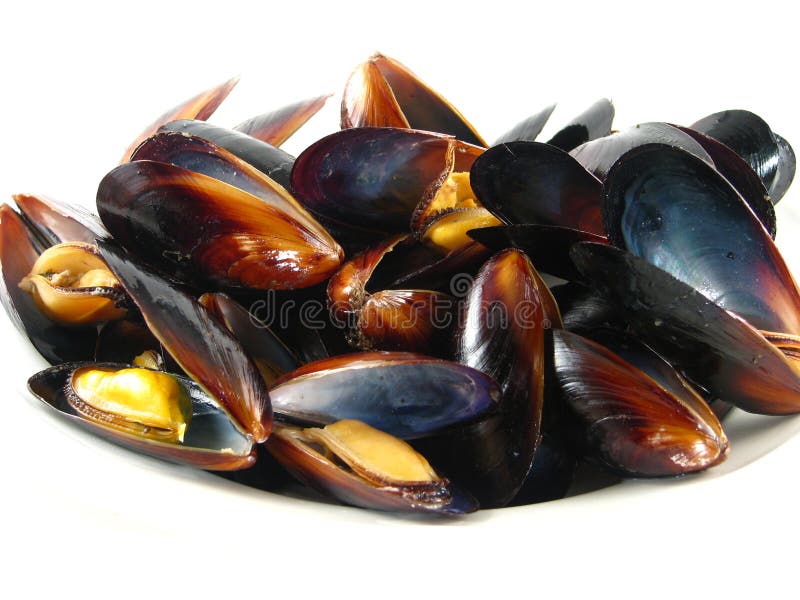 Muscles Shellfish stock image. Image of served, french - 78675451