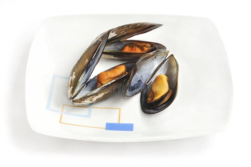 Steamed Mussels on the Plate. Stock Image - Image of dinner, shell ...