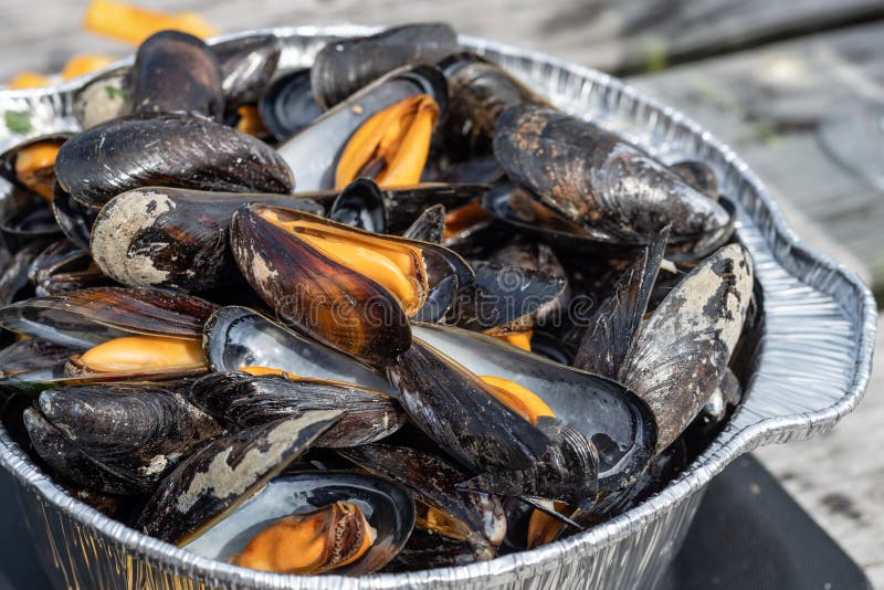 Steamed Mussels in a Pot. Delicious Seafood Plate Stock Image - Image ...