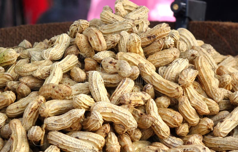 Peanuts steamed stock image. Image of roasted, plant - 80670689