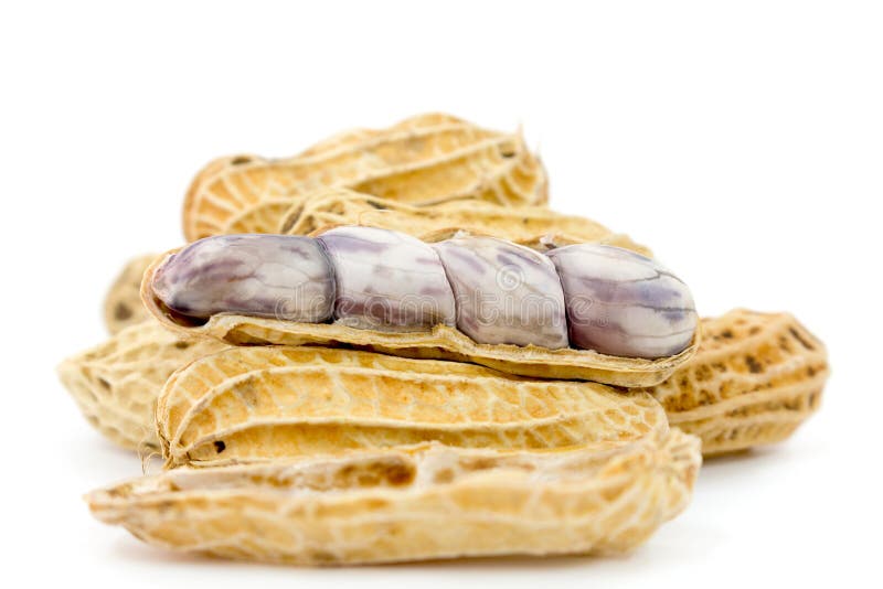 Steamed Peanuts on White Background Stock Photo - Image of organic ...