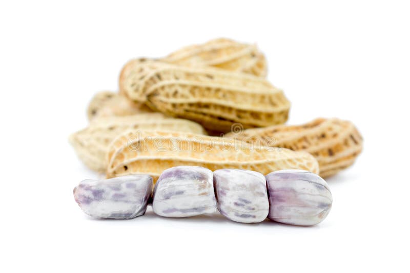 Steamed peanuts stock image. Image of product, peanut - 22701575