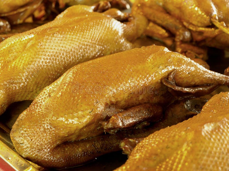 Steamed pot-stewed duck stock image. Image of china, healthy - 87635391