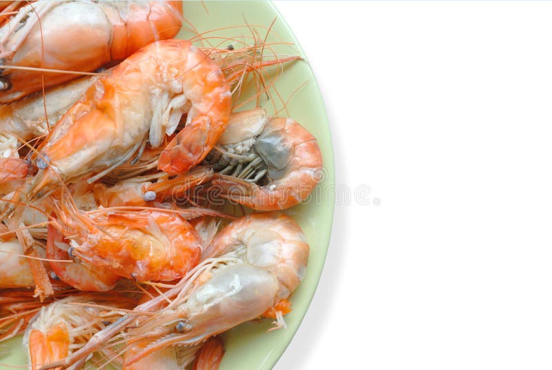 Steamed prawns in plate. stock image. Image of cooked - 95529875