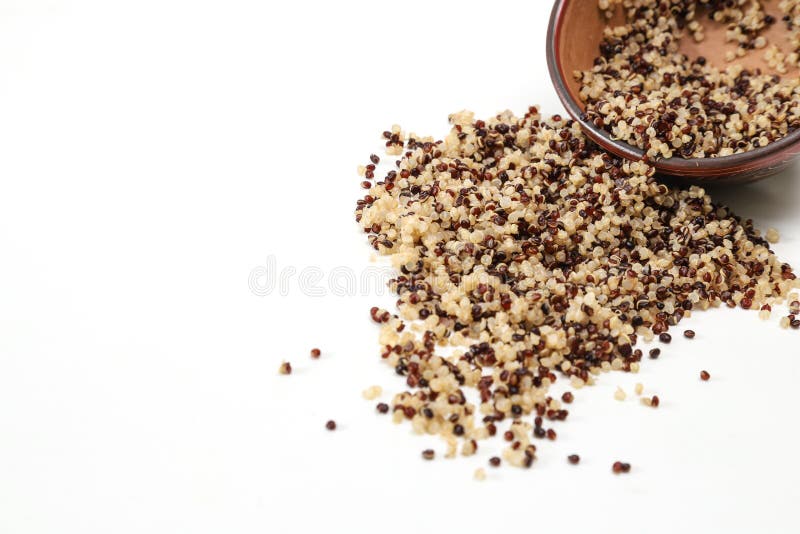 Steamed Quinoa in a White Background Stock Photo - Image of quinoa ...