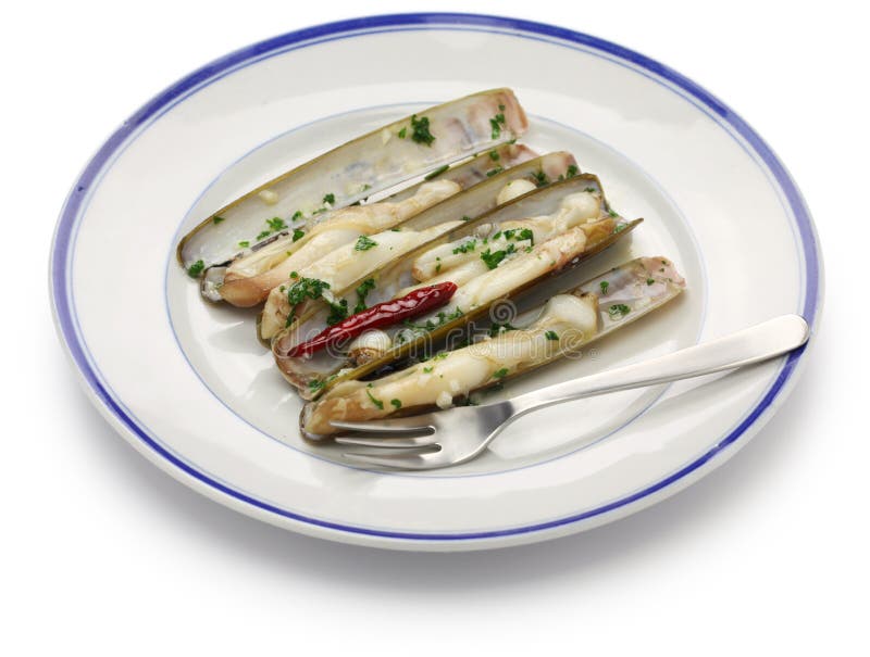 Razor shell stock image. Image of isolated, netherlands - 36258517