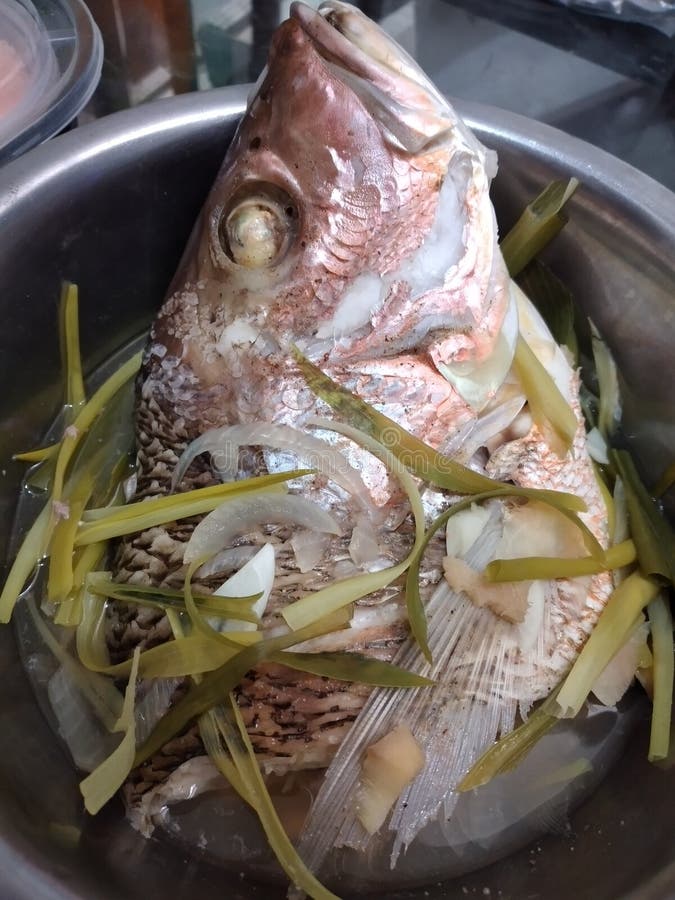 Steamed red snapper stock image. Image of restaurant - 375283299
