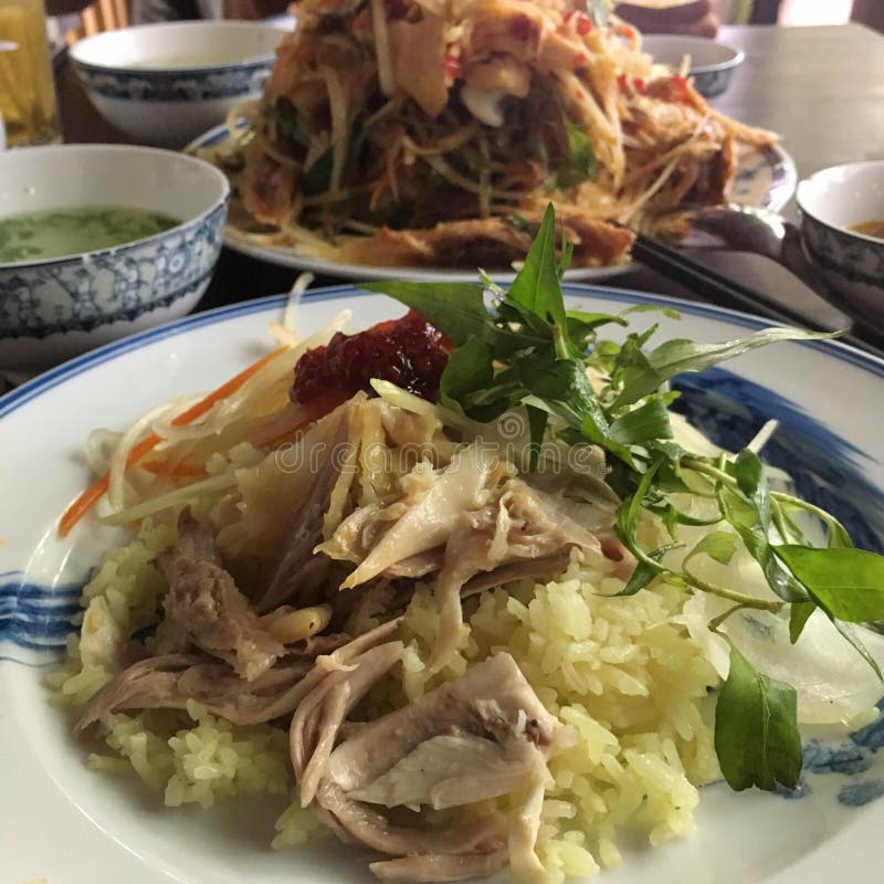 Steamed Rice with Chicken in Hoi an Style Stock Image - Image of rice ...