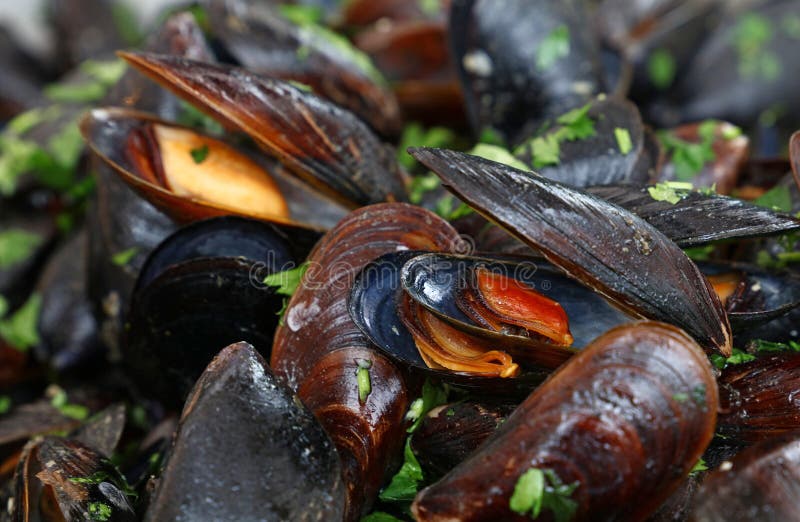 Steamed and Roasted Mussels Close Up Stock Photo - Image of dish ...