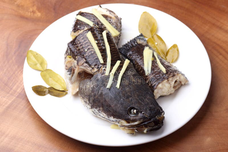 Snake head stock image. Image of black, animals, snake - 1914323