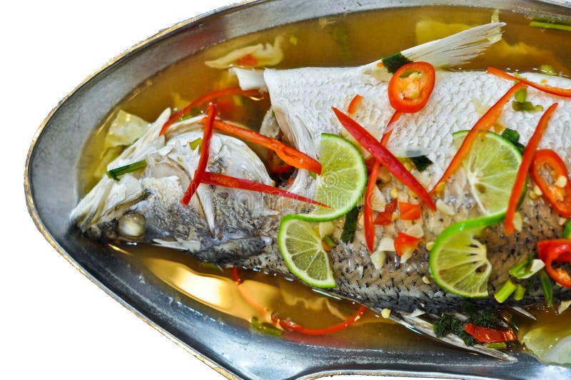 Steam fish stock photo. Image of delicious, nature, steam - 17963442