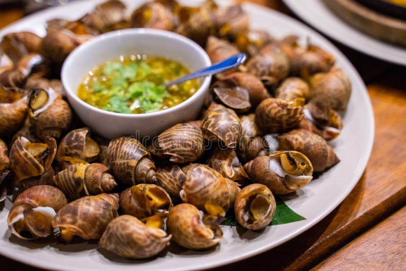Steamed Shellfish stock photo. Image of white, dinner - 62235566
