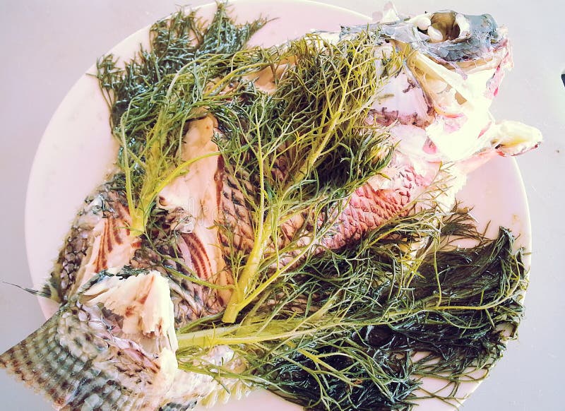 Steamed tilapia stock photo. Image of steamed, white - 86563008