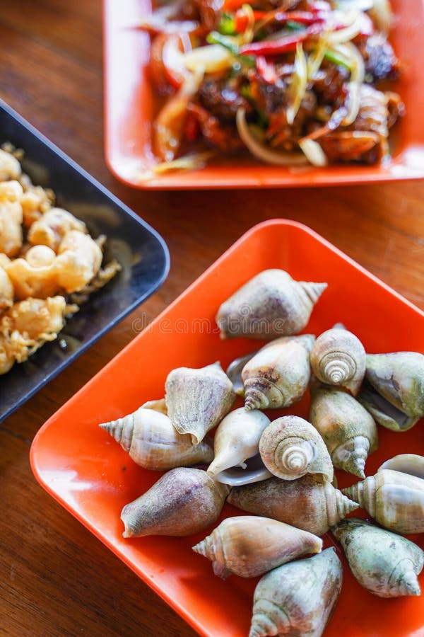 Steamed Wing Shell for Lunch Stock Photo - Image of cuisine, seafood ...