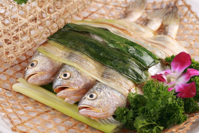 Fijian Dancers 1601 editorial photo. Image of tradition - 6942731