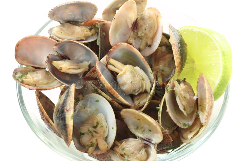 Steamer Clams Seasoned with Salt Stock Photo - Image of restaurant ...