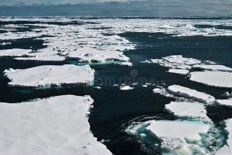 Area of ice floes stock photo. Image of ocean, antarctic - 366487848