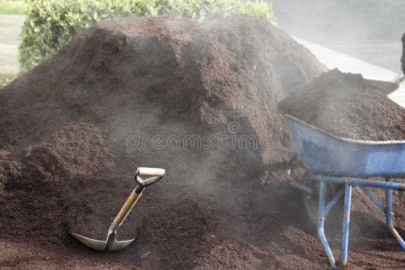 Steaming Bark Dust stock image. Image of hemlock, heap - 25411825