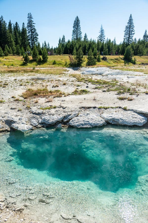 Steaming Blue Thermal Pool in West Thumb Geyser Basin Stock Image ...