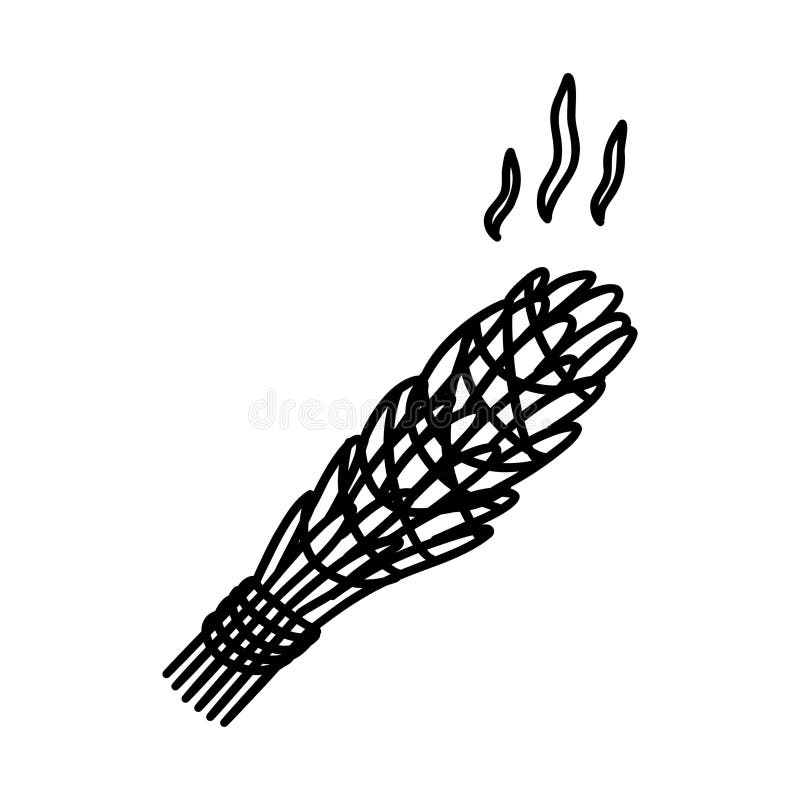 Steaming Bunch of Sage Herb. Vector Doodle Stock Vector - Illustration ...