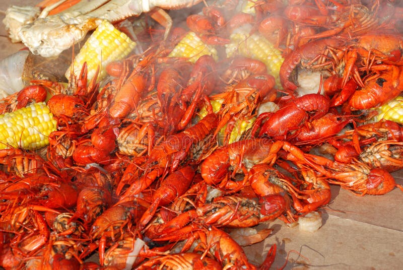 Steaming cray fish stock photo. Image of steam, crustacean - 2158690