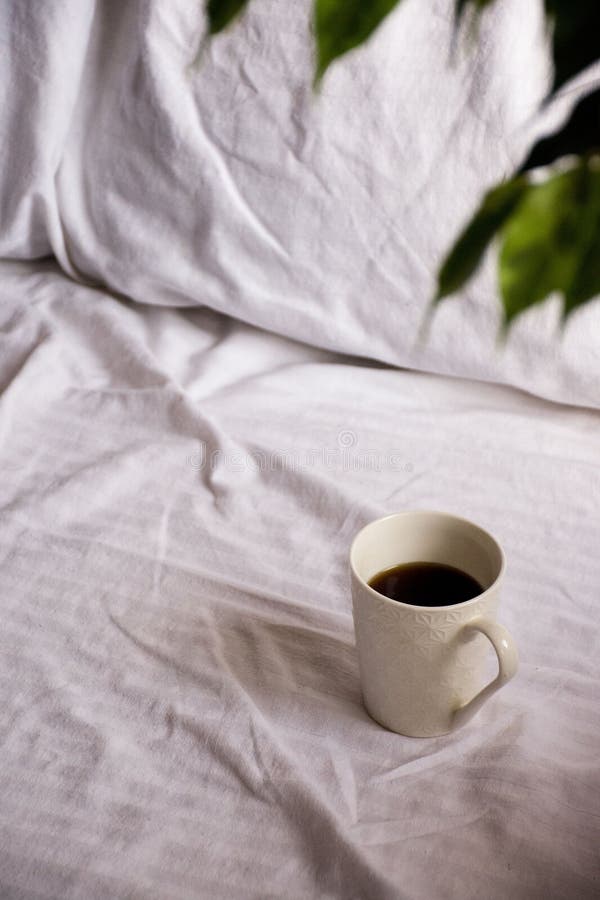 Steaming Hot Morning Coffee Resting on a Bed, with a Green Leaf Visible ...