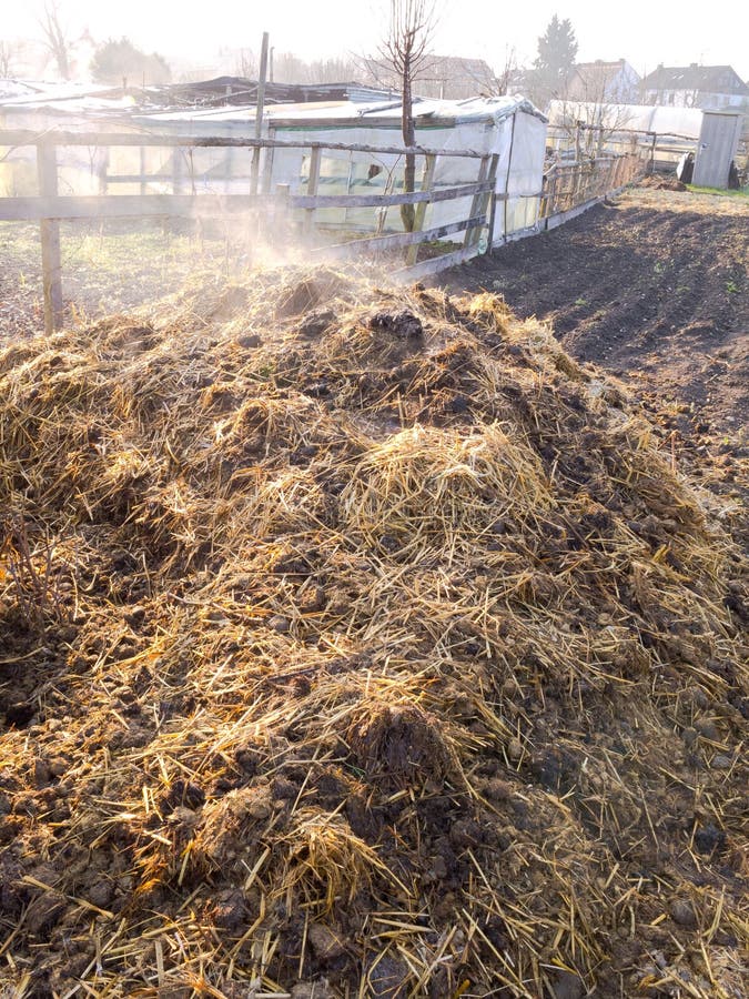 Manure heap stock image. Image of harvest, covered, heap - 1597971