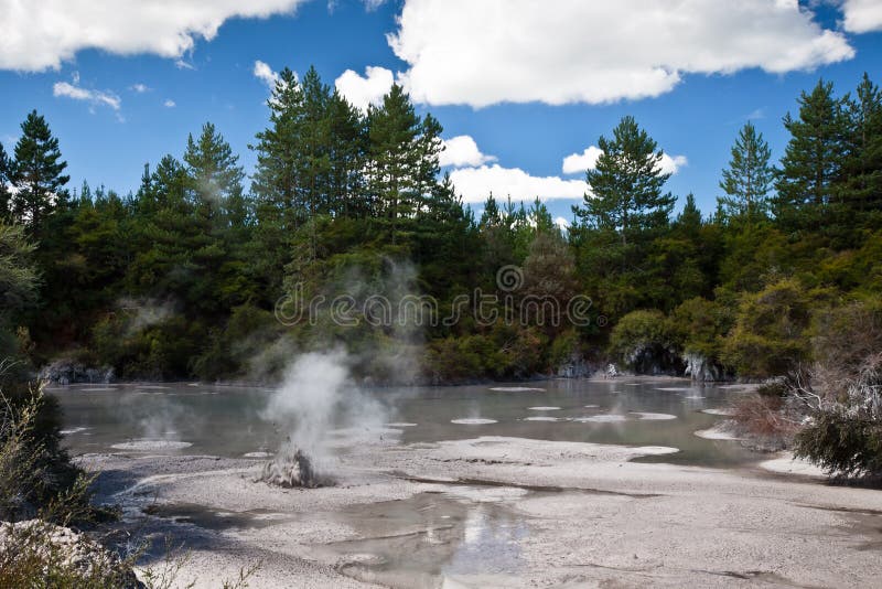 Steaming Mud Pool - New Zealand Stock Photo - Image of geothermic ...