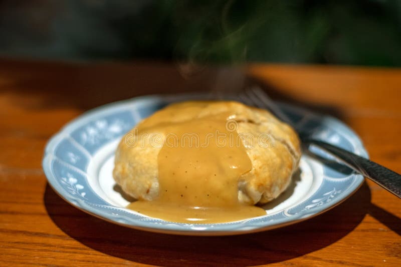 Steaming Hot Turkey Pie Pastry Stock Image - Image of gold, pouring ...