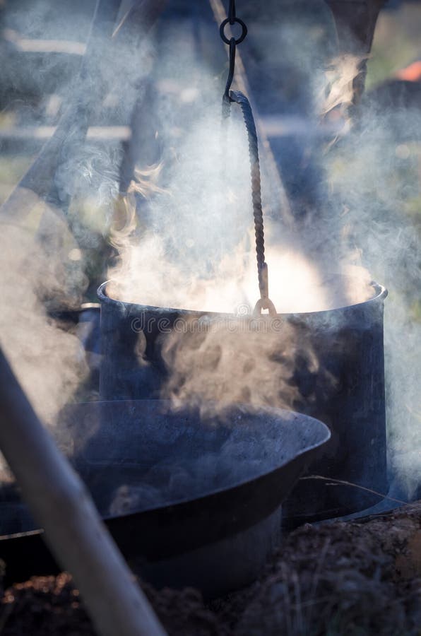 Steaming Pot with Food Heated on the Fire Stock Image - Image of ...
