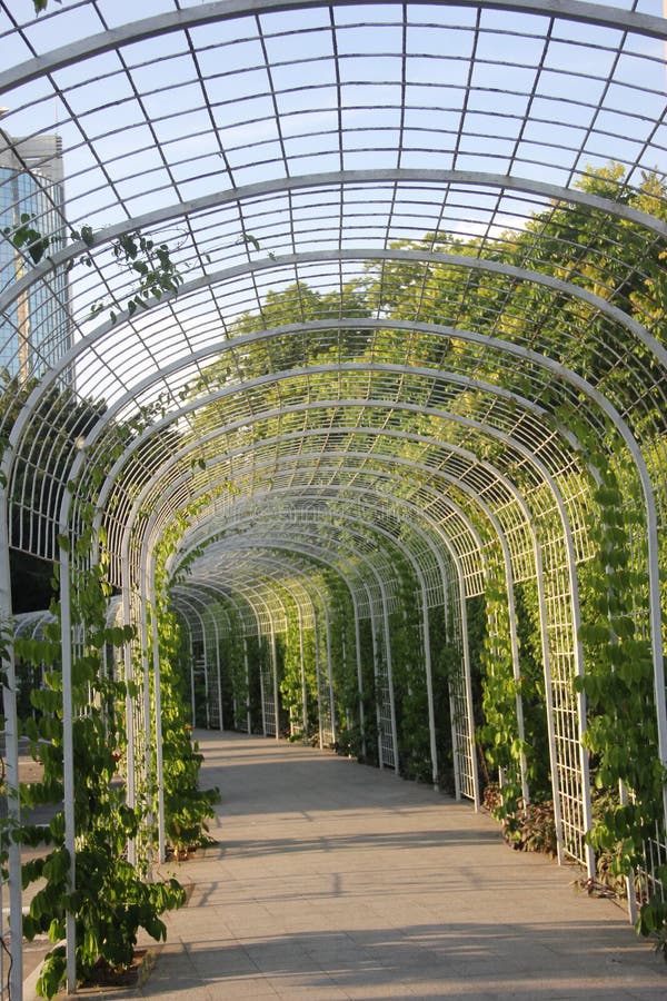 Steel arched corridor stock photo. Image of corridor - 42226710