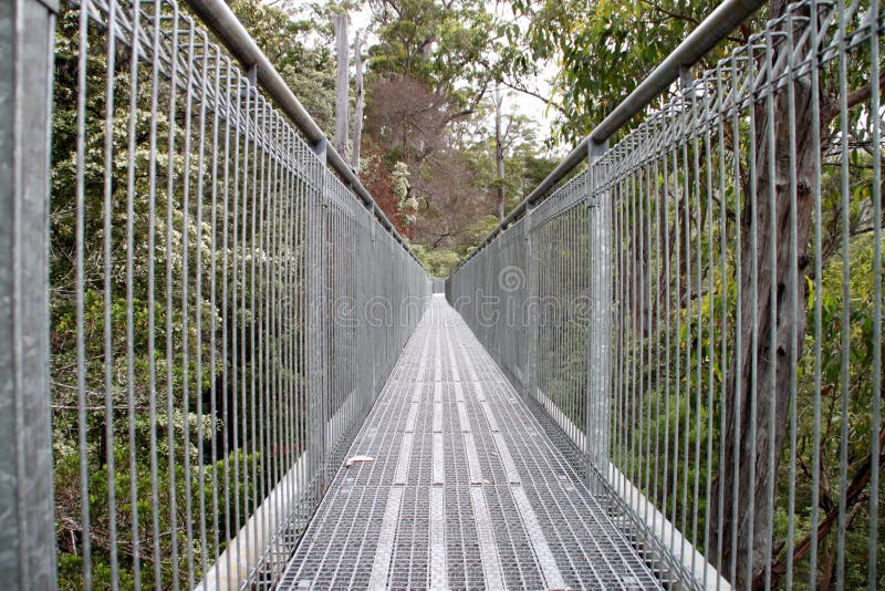 Steel Bridge stock photo. Image of steel, trees, path - 21058898