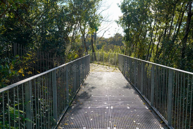 Steel Bridge Path Metal Pathway in Forest Park Stock Photo - Image of ...