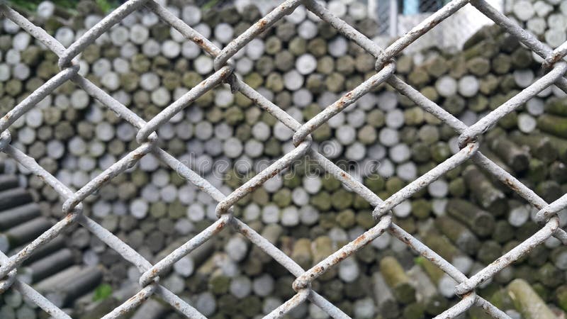 Steel cages stock photo. Image of hedge, inclose, area - 102495628 Steel cages stock photo. Image of hedge, inclose, area - 102495628