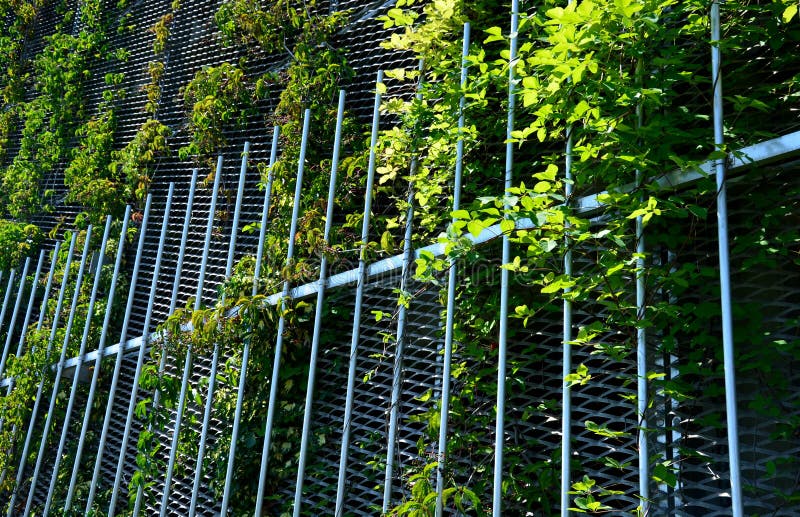 Steel Cladding of a Building with a Expanded Metal Lattice Structure ...