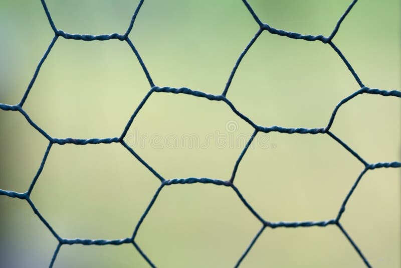 Steel Fence, Mesh Pattern on the Light Green Background Stock Image ...