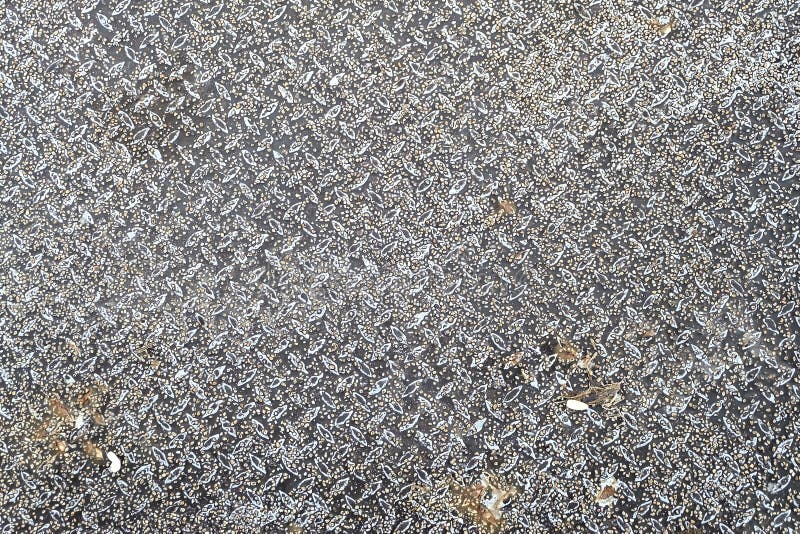 Steel Floor for Background or Texture. Stock Image - Image of silver ...