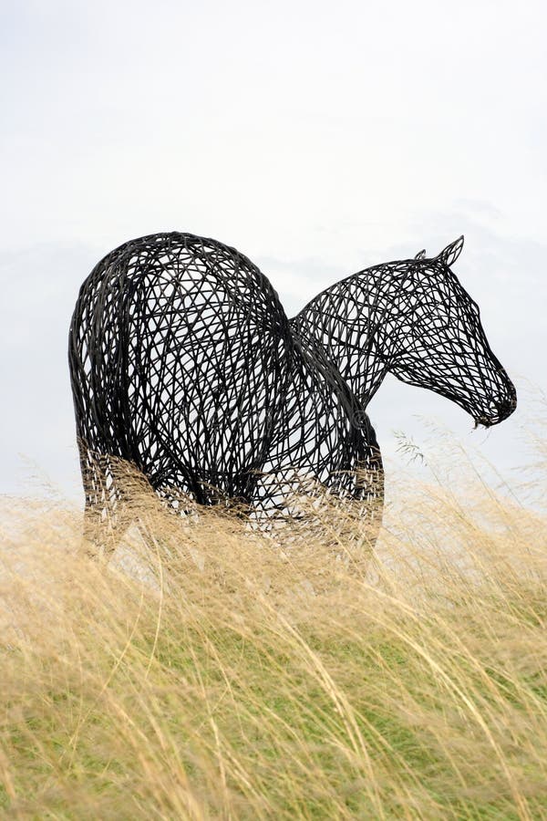 Steel Horse Picture. Image: 2699254