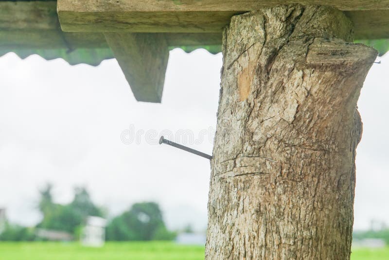 246 Iron Nail Hammered Stock Photos - Free & Royalty-Free Stock Photos ...