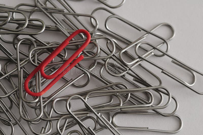 Steel Paper Clips with a Single Red Paperclip Stock Photo - Image of ...