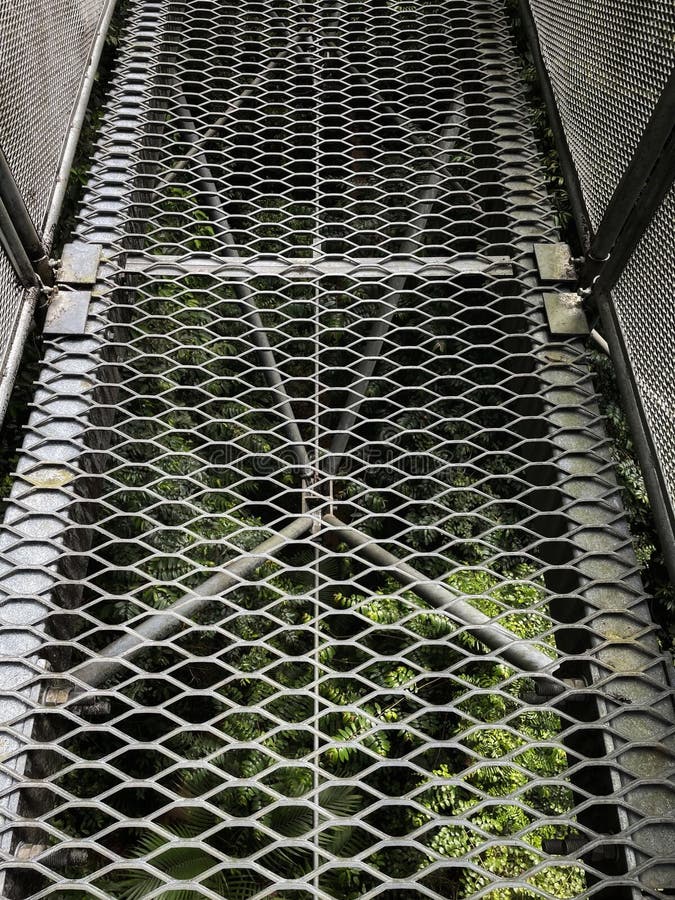 Steel path way stock photo. Image of hanging, leaf, park - 234169228