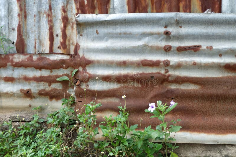Steel Rust Zinc Chain Bolts Diy Stock Image - Image of tree, material ...