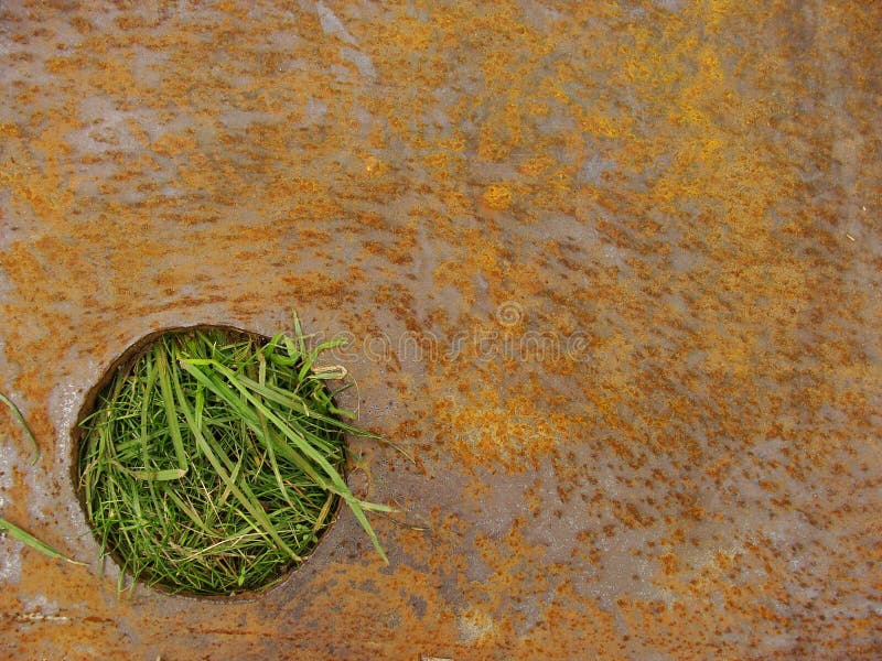 Steel Rusty Plate with Grass Stock Photo - Image of distressed, design ...