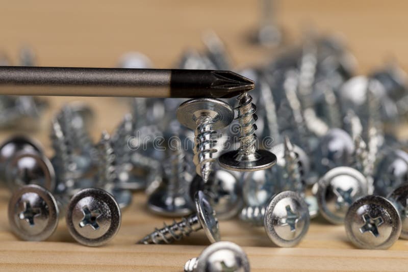 Steel Self-tapping Screws for Fixing Wooden Objects Stock Photo - Image ...