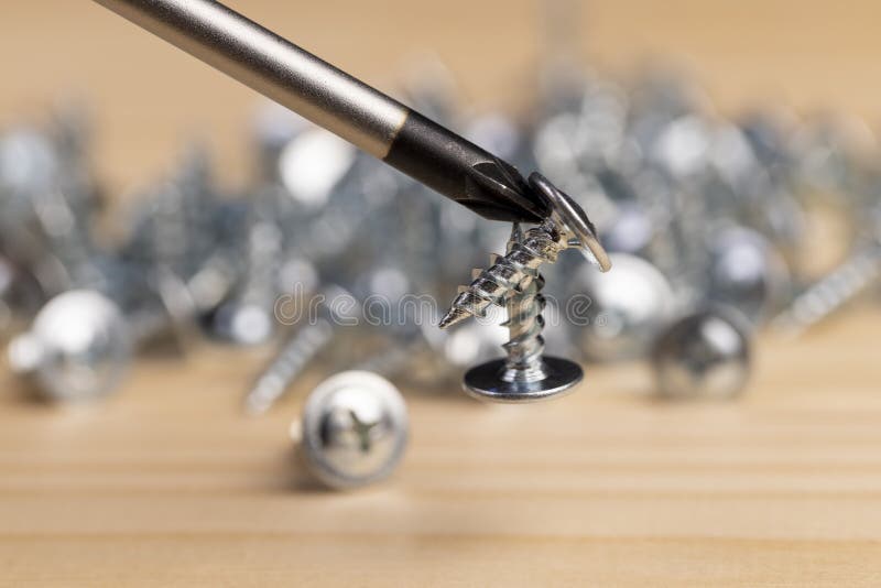 Steel Self-tapping Screws for Fixing Wooden Objects Stock Photo - Image ...